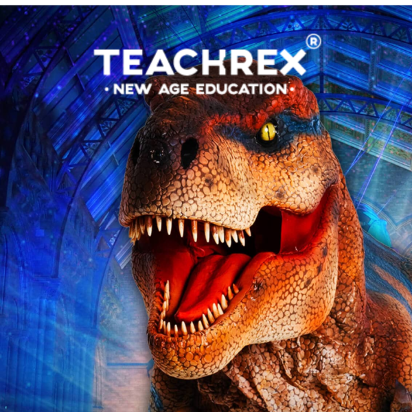 About - SUNDERLAND LIVE